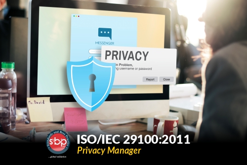 29100 Mgr – Standards and Best Practice (SandBP)