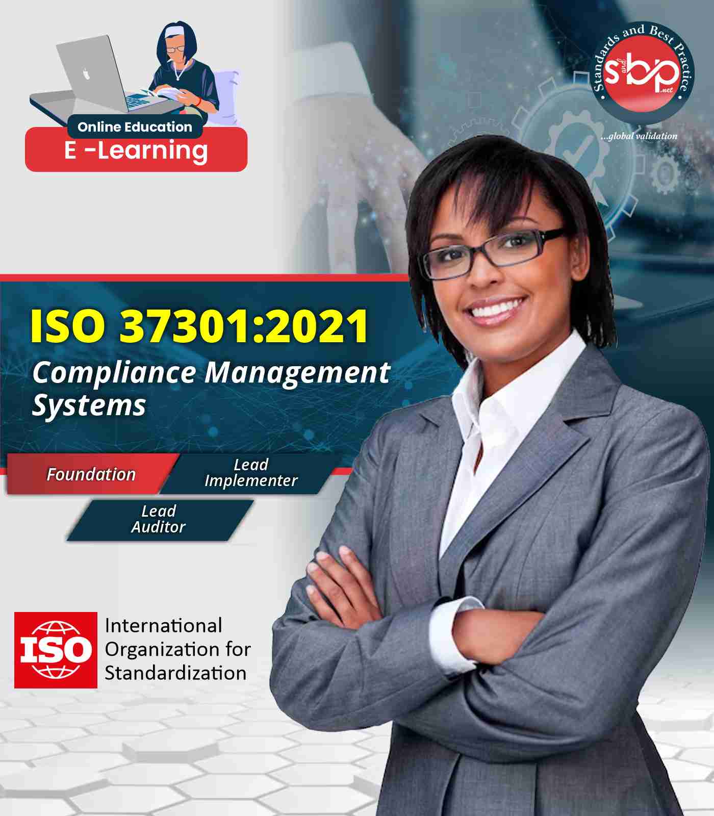 e11 – Standards and Best Practice (SandBP)