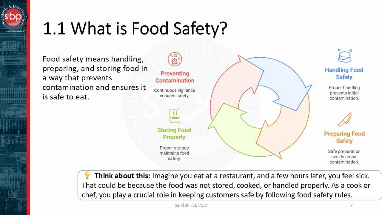 FSE MODULE 1 Slide7 – Standards and Best Practice (SandBP)